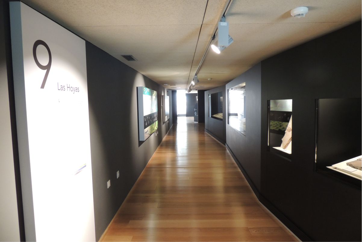 Proyectos de Iluminación en MUSEOS | LuzyColor2000